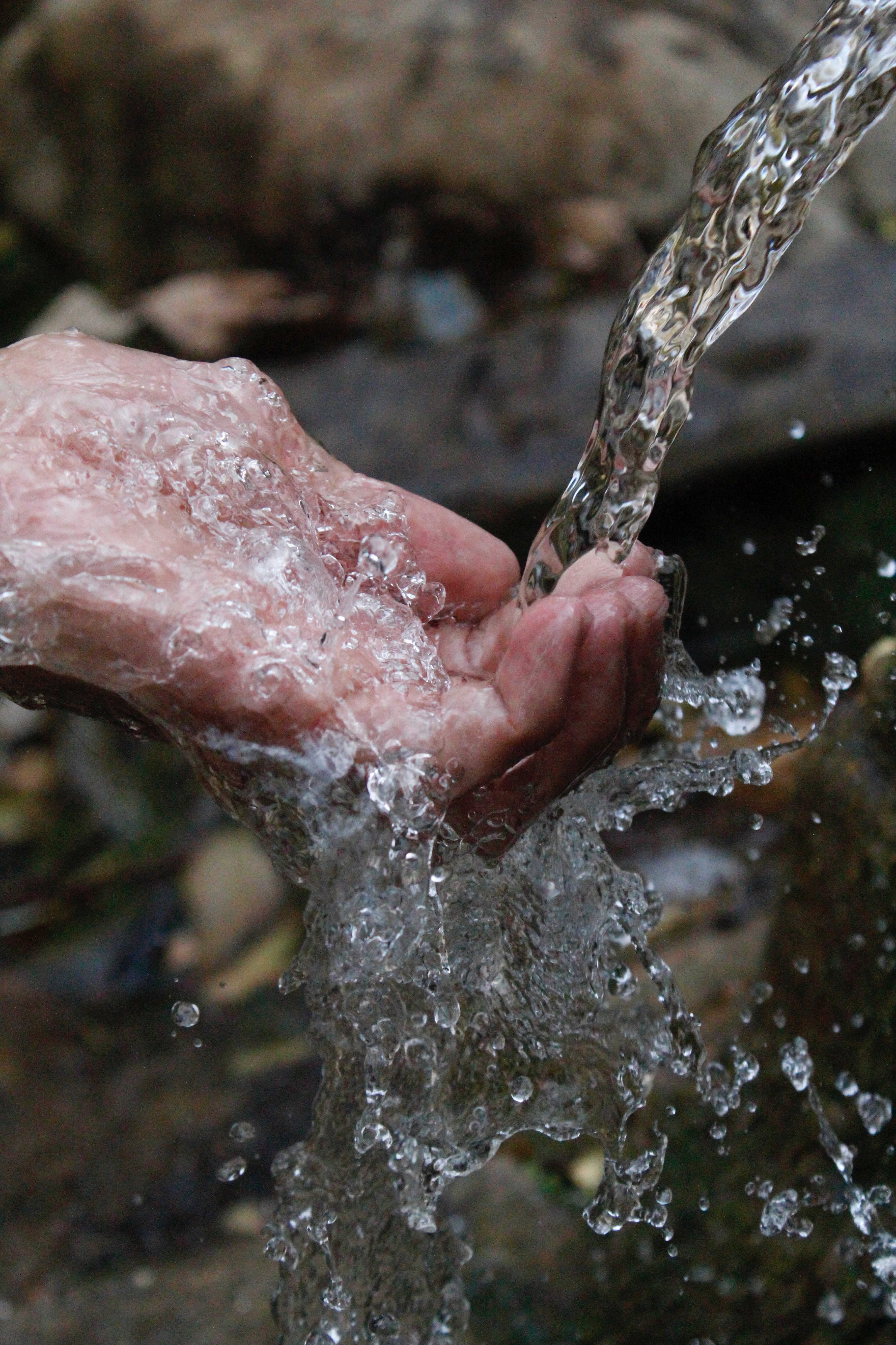 A World Water Day Prayer | Michelle L. Torigian